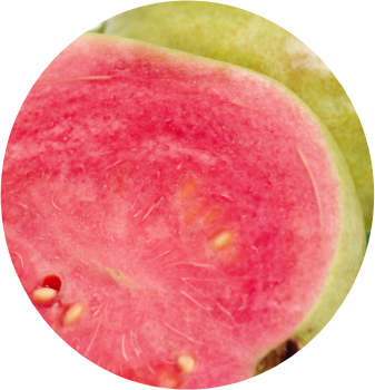 Hartley's Multi-Use Syrup - H&H Products Company